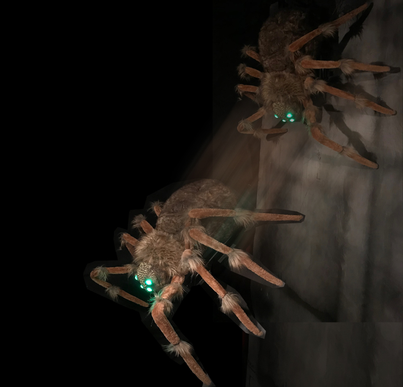 Spider wall crawl : Poison Props Animatronic Prop